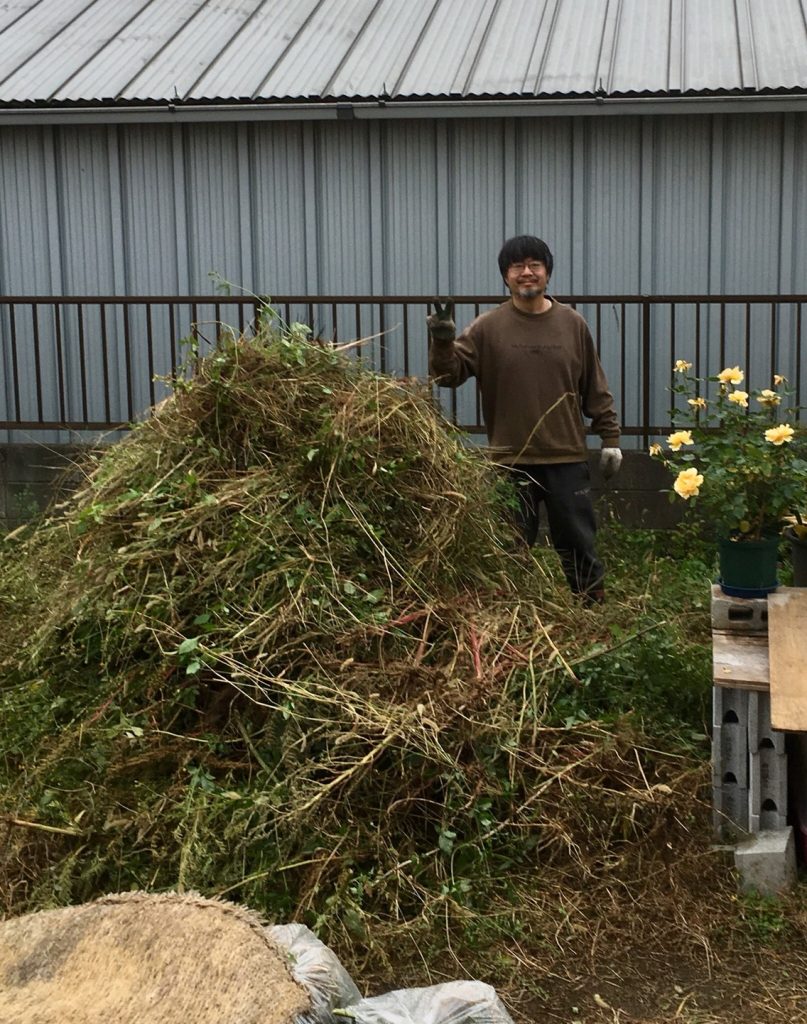 草むしり（パートⅡ） | 門脇不動産鑑定 株式会社